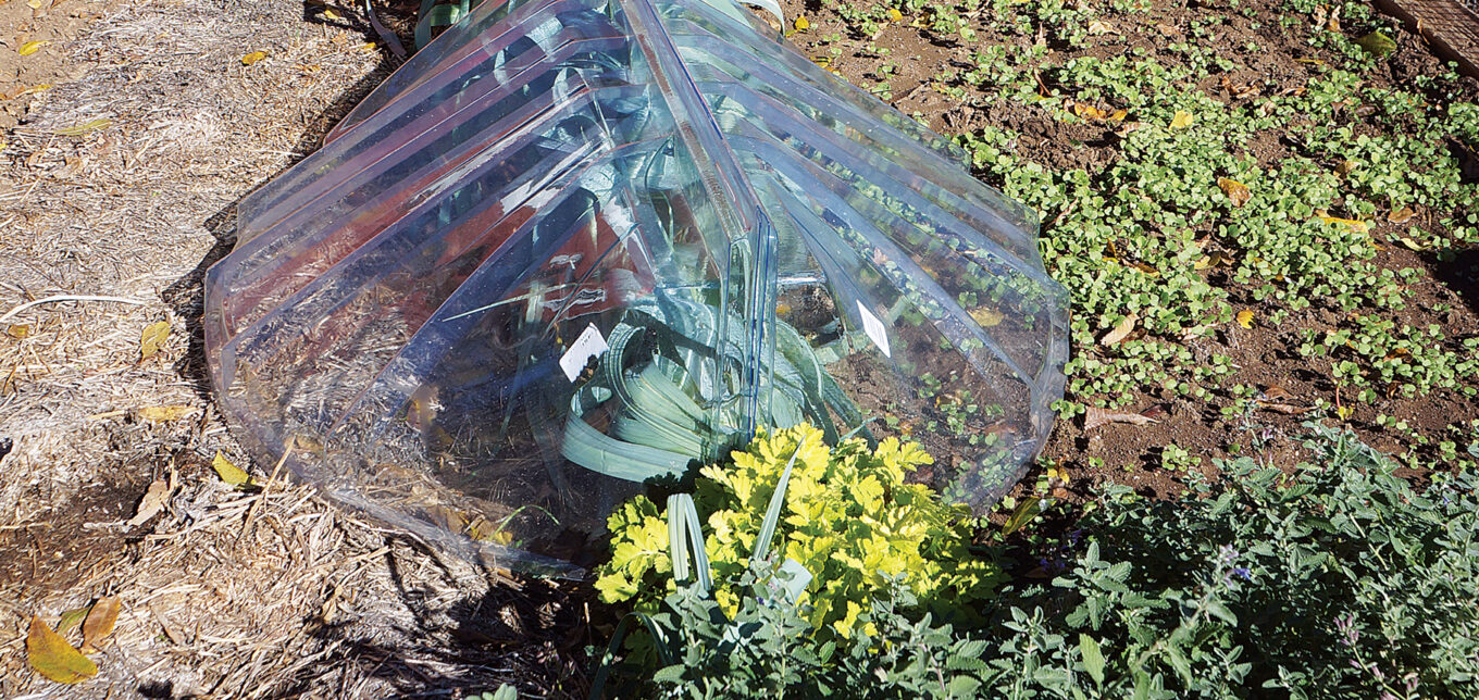 Building A Cold Frame Planter Cold Frame DIY Plans How To Build A
